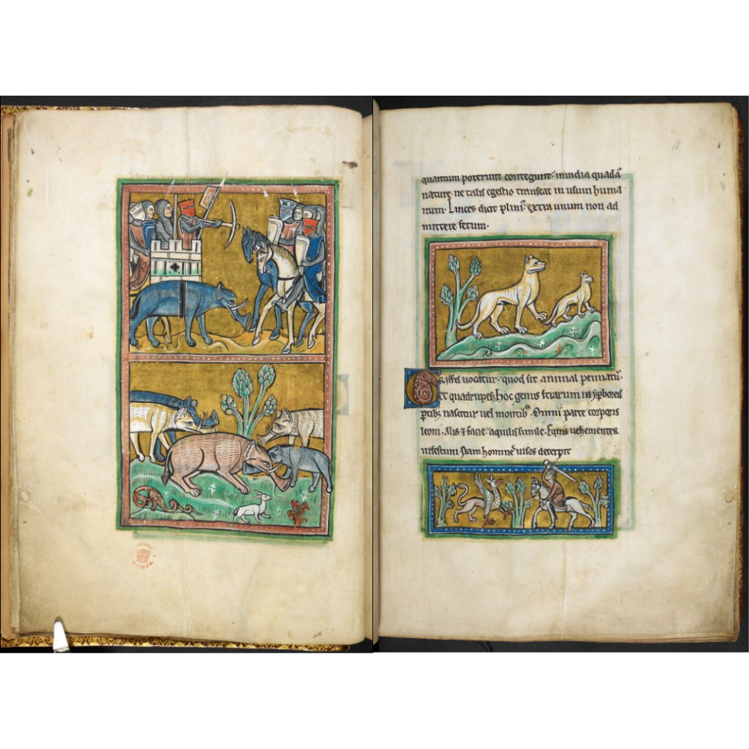 Bestiaire de Rochester