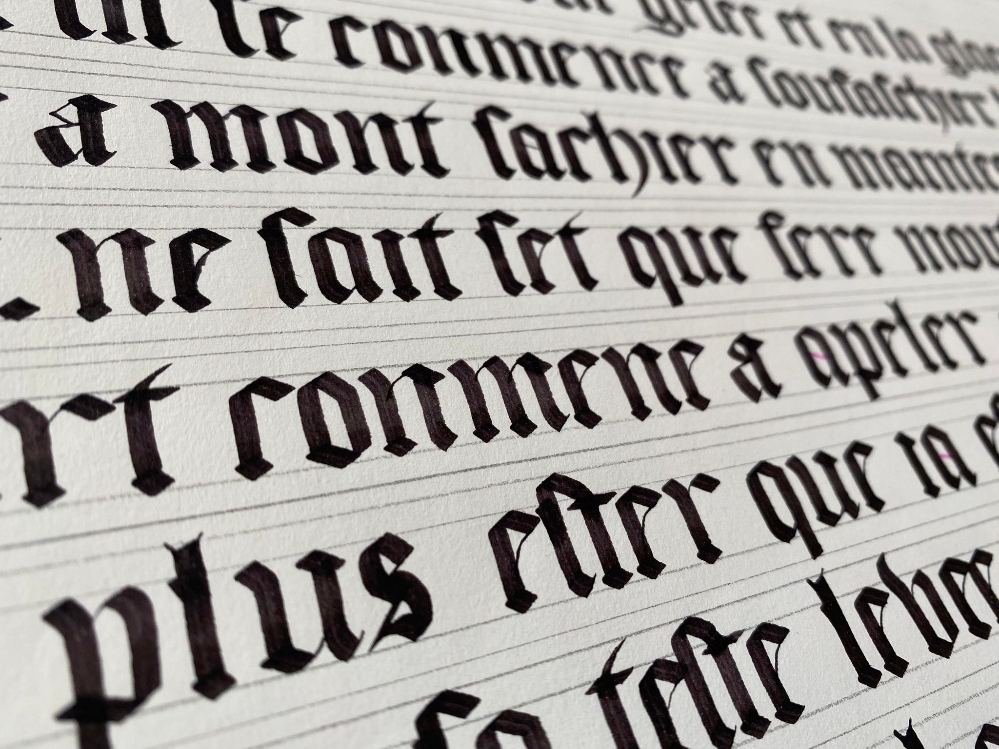 Les écritures gothiques et l'étonnante diversité de leurs styles